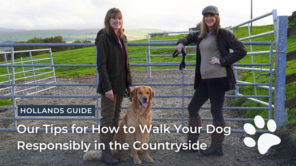 Our Tips for How to Walk Your Dog Responsibly in the Countryside