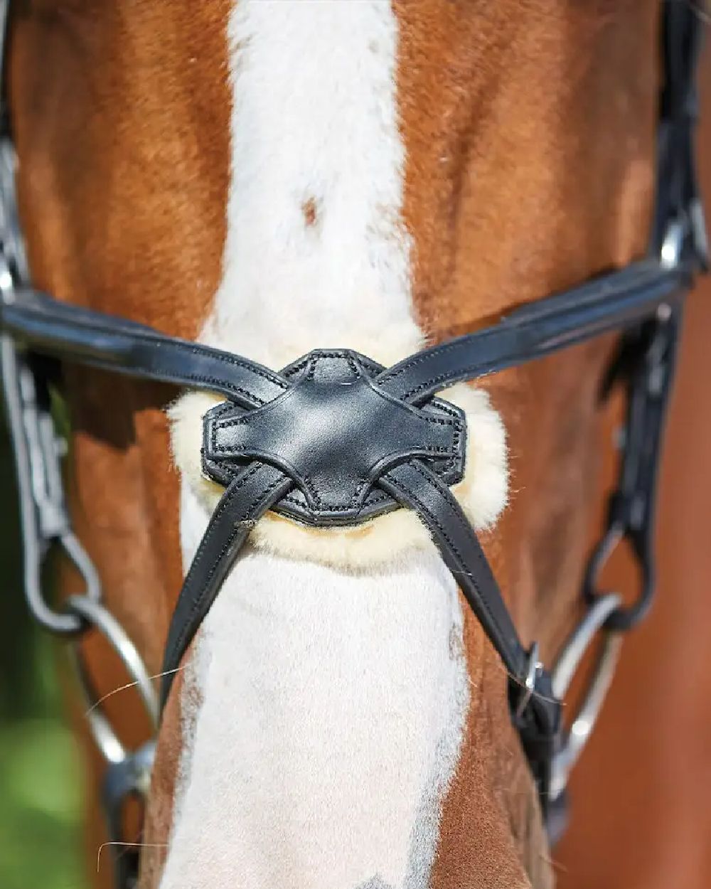 Collegiate Comfitec Grackle Bridle