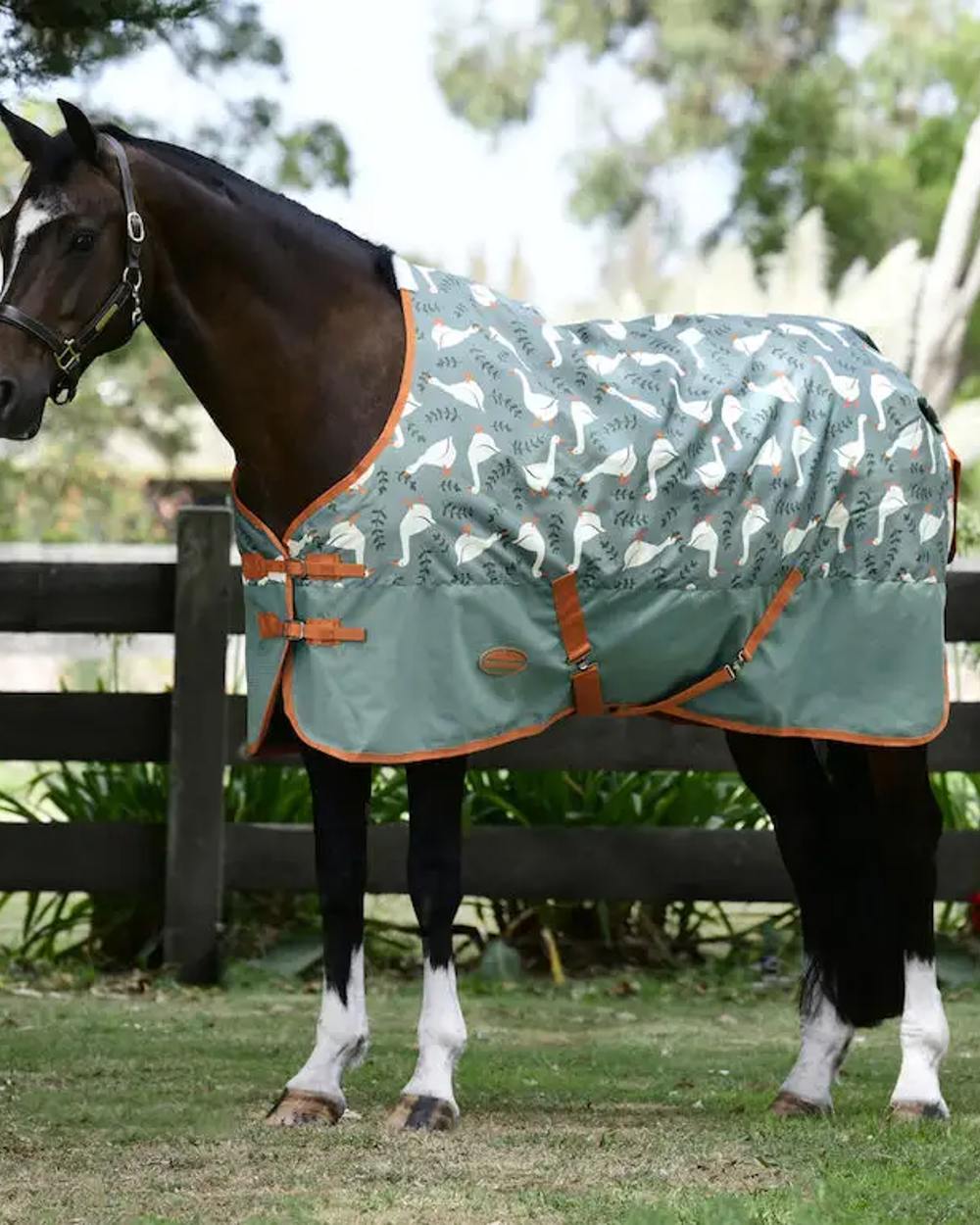 WeatherBeeta ComFiTec Tyro Standard Neck Lite Plus