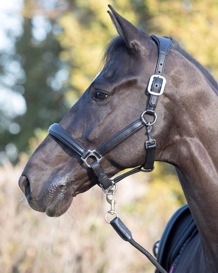LeMieux Anatomic Headcollar