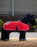 LeMieux Toy Pony Rug