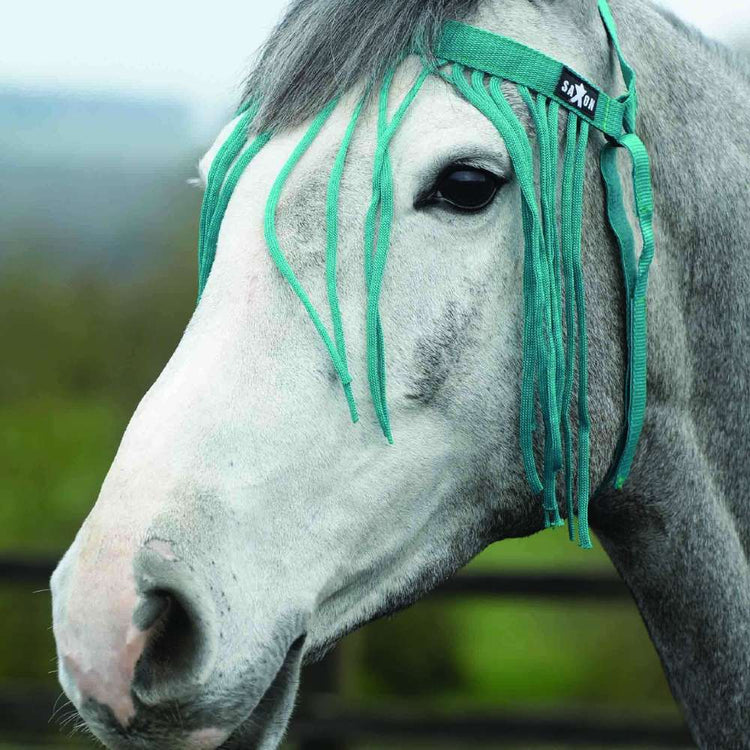 Saxon Fly Fringe | Six Colours